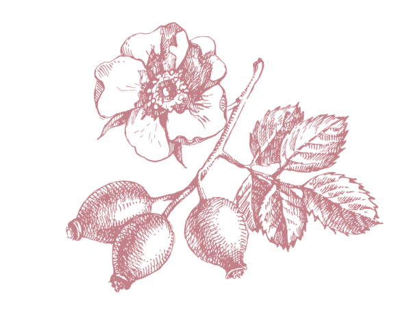 Cherry Central - Cherry Central