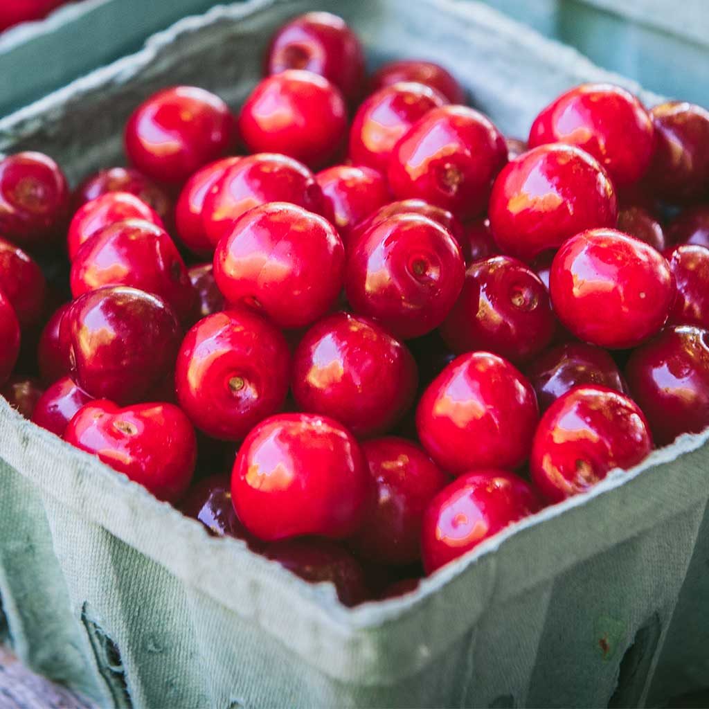 我们的产品 - Cherry Central